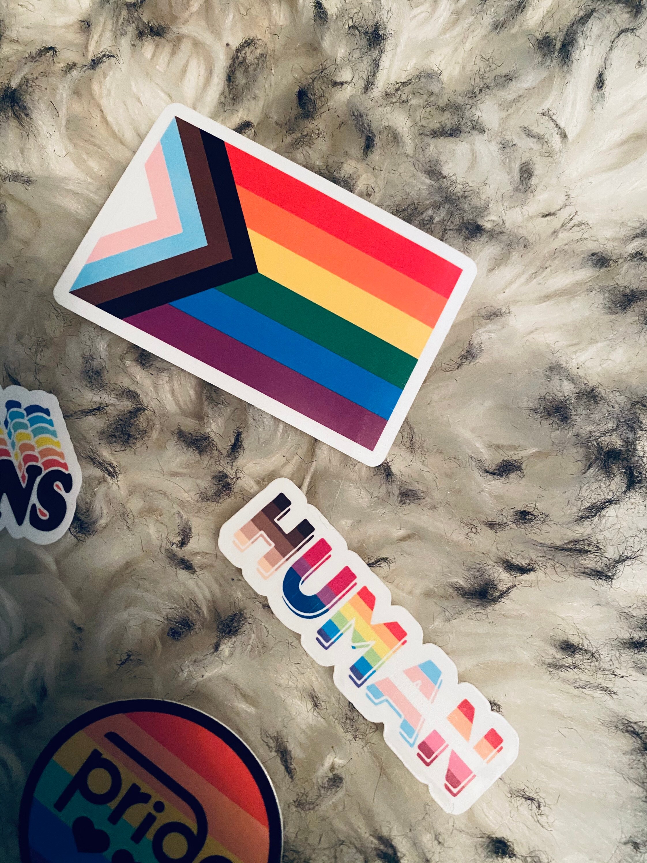 Pride Sticker Pack. LGBTQ Sticker Pack. LGBTQ Sticker. | Etsy