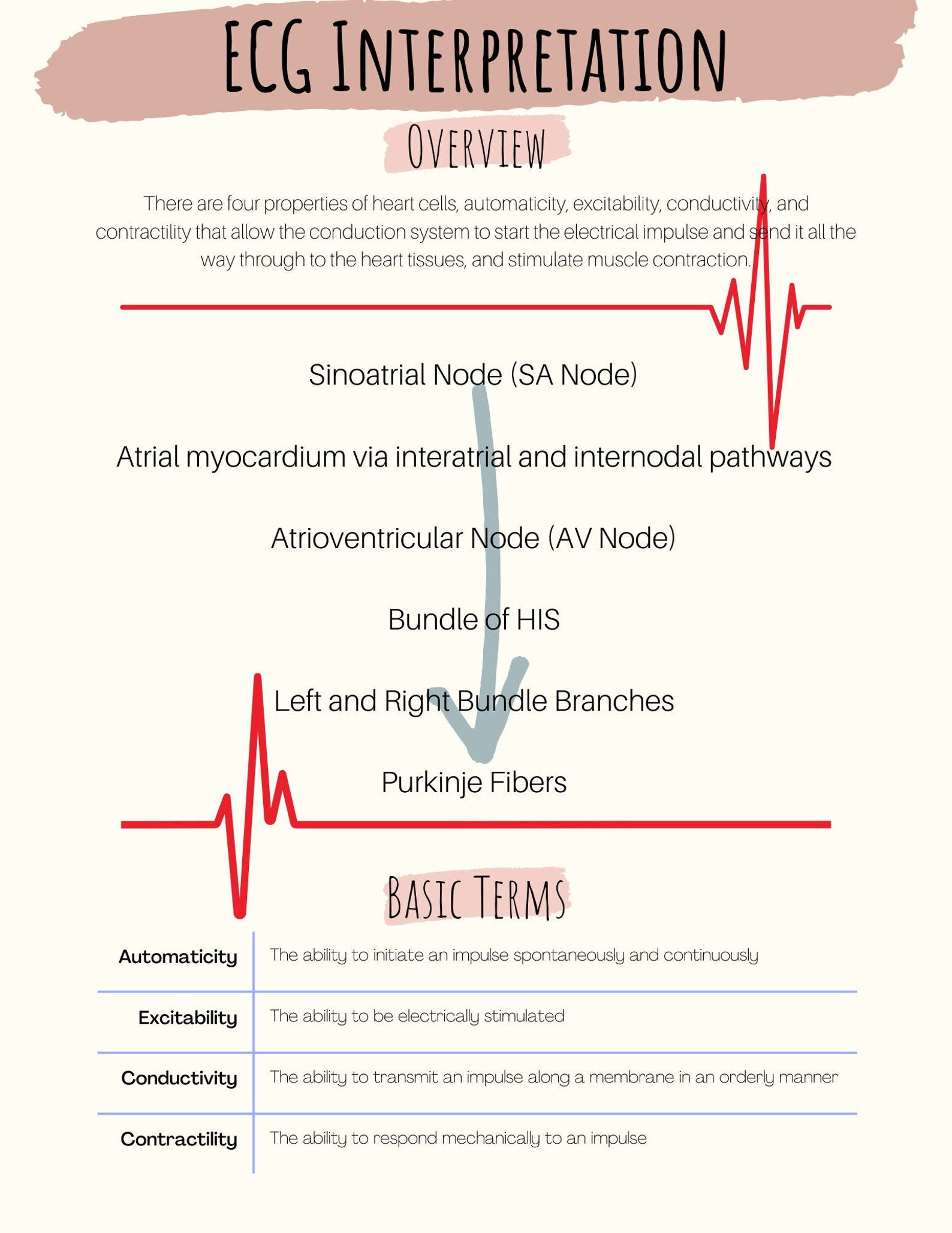 Basic ECG Overview - Etsy