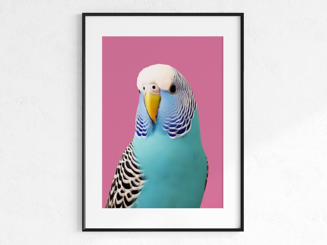 Parakeet Portrait, Pop Art, Budgie Illustration, Beach House Coastal ...