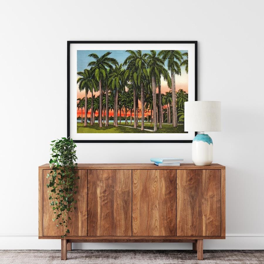 Vintage Florida Palm Trees Postcard, Coastal Home Decor, Beach House ...