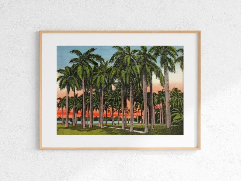 Vintage Florida Palm Trees Postcard, Coastal Home Decor, Beach House ...