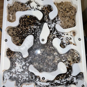 ORIGINAL XL Mesh Nest by Esthetic Ants | Small Ant Outworld | Ant ...