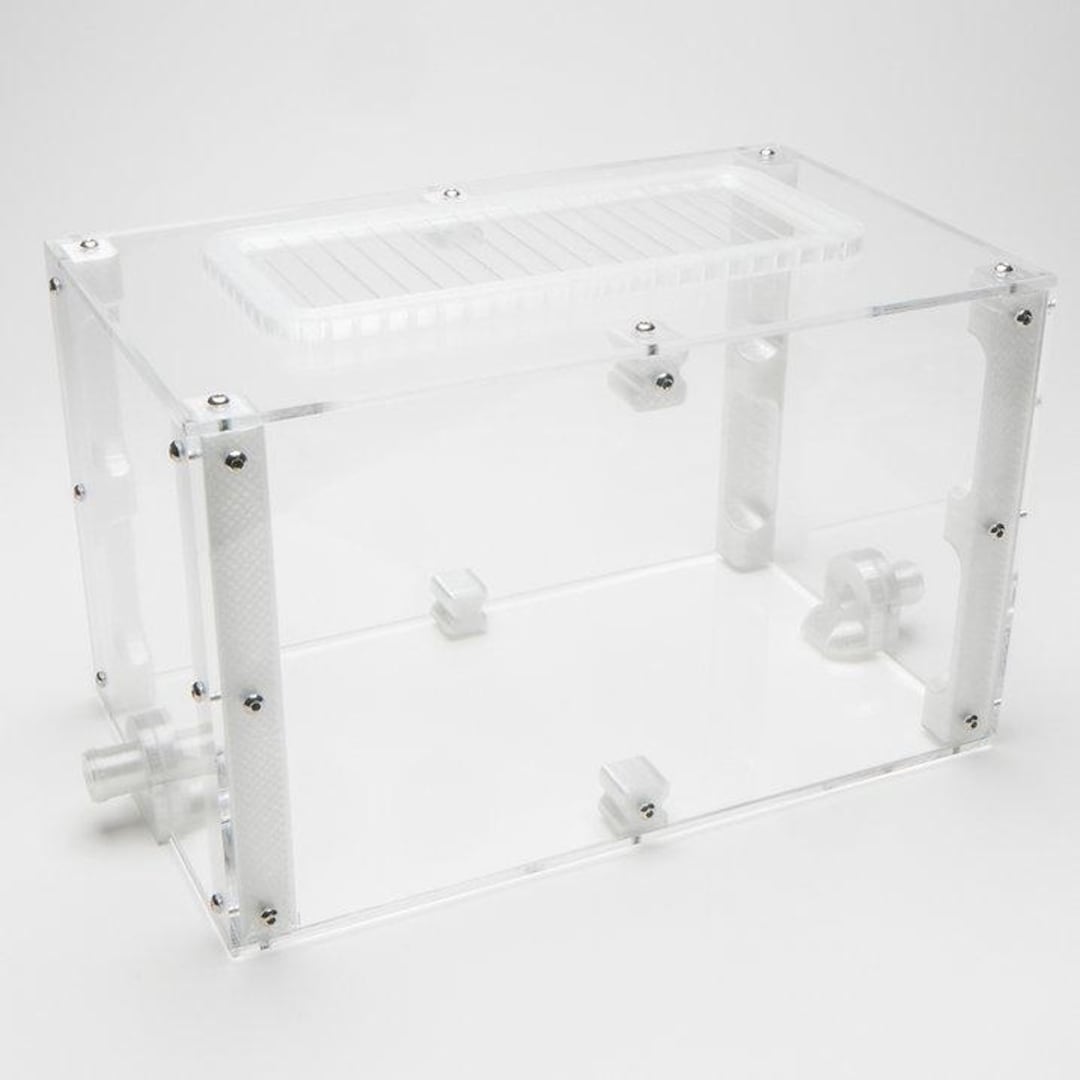 Large Ant Outworld – Beta Version | Premium Acrylic Formicarium Arena ...
