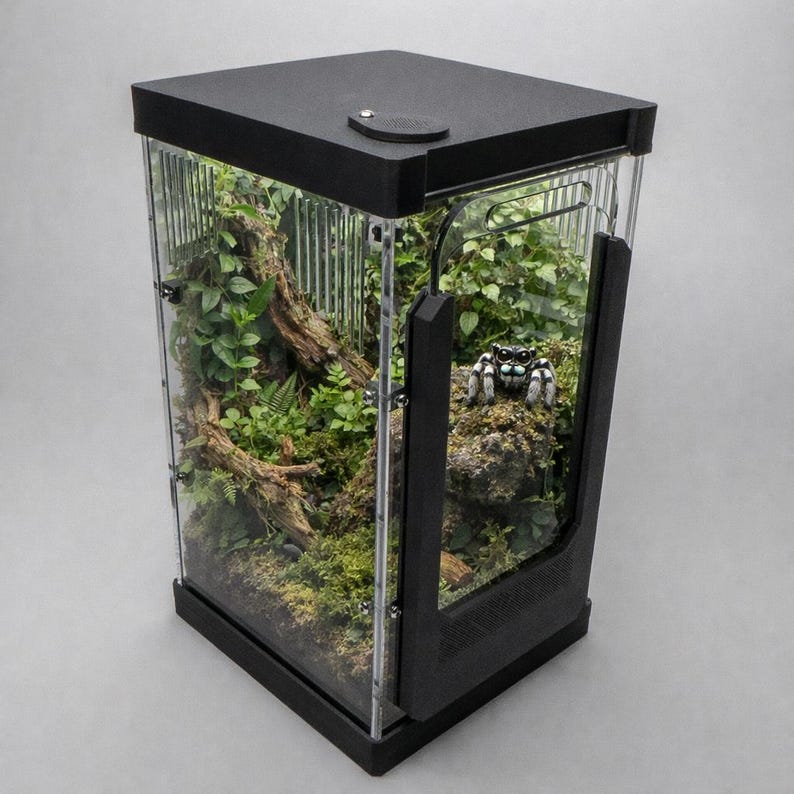 Escape Proof Terrarium Enclosure for Jumping Spiders & Insects ...