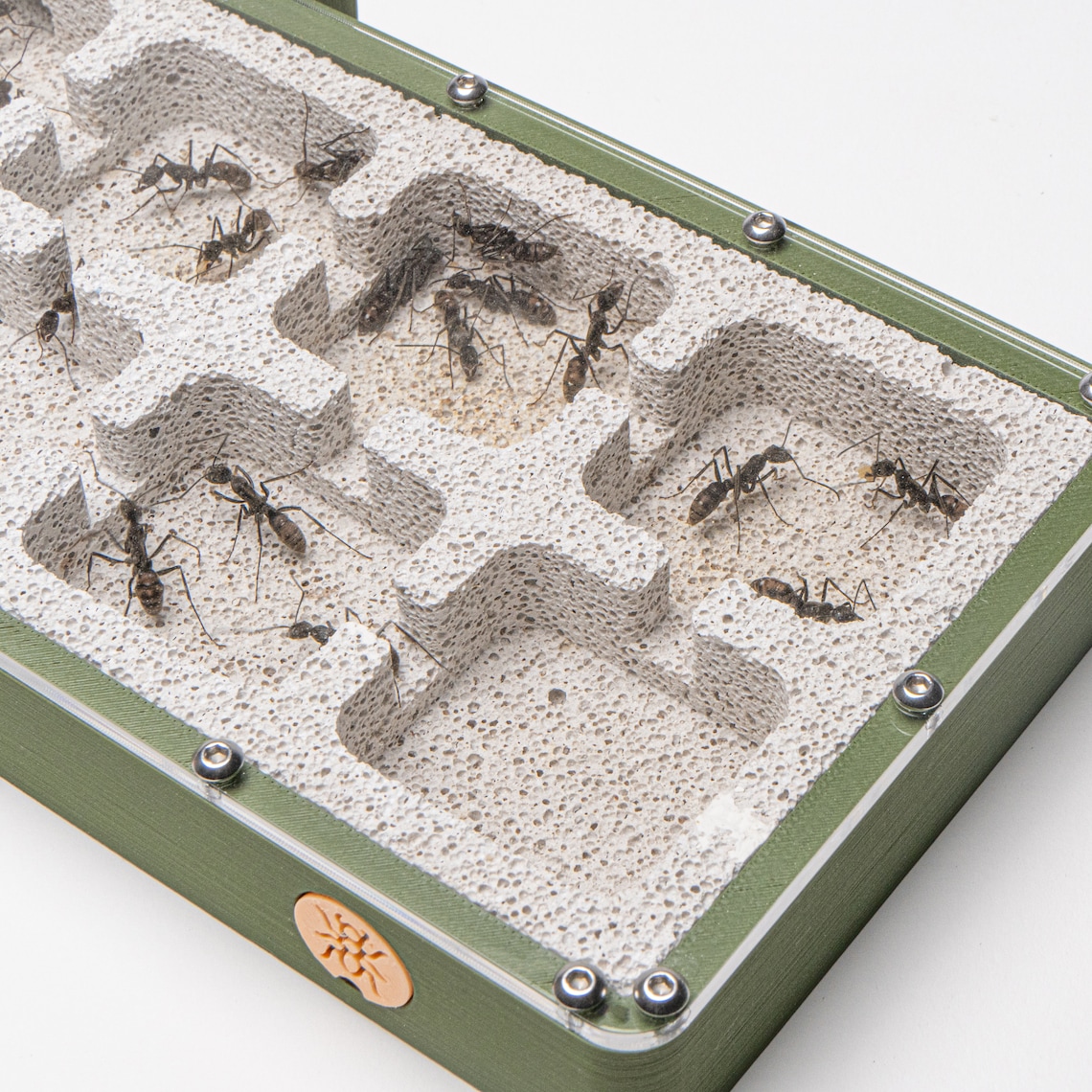 ORIGINAL Large Ytong Type-b Nest by Esthetic Ants | Small Ant Outworld ...