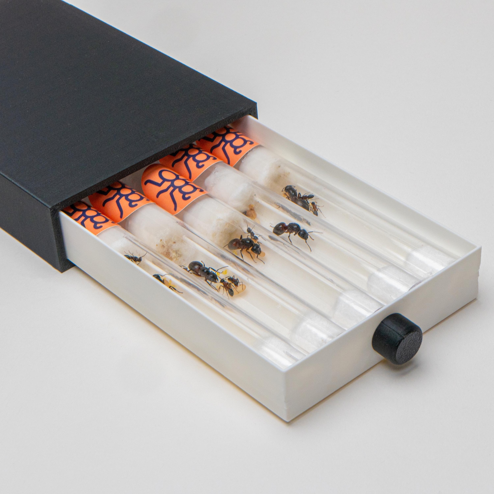 The Queen Drawer V2 Store Your Ants Neatly - Etsy