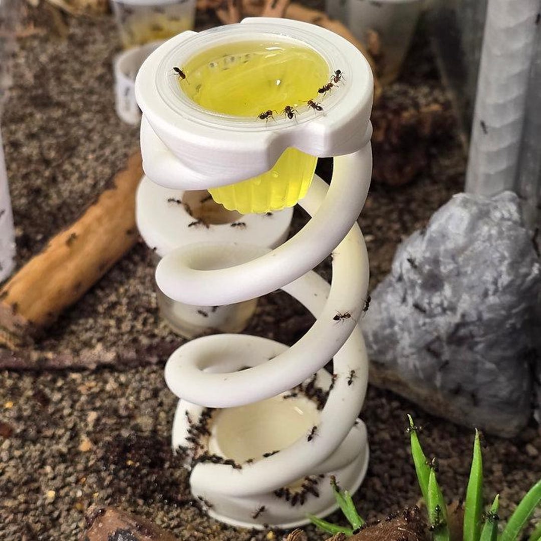 Spiral Jelly Holder – the Perfect Feeding Accessory for Larger Ant ...
