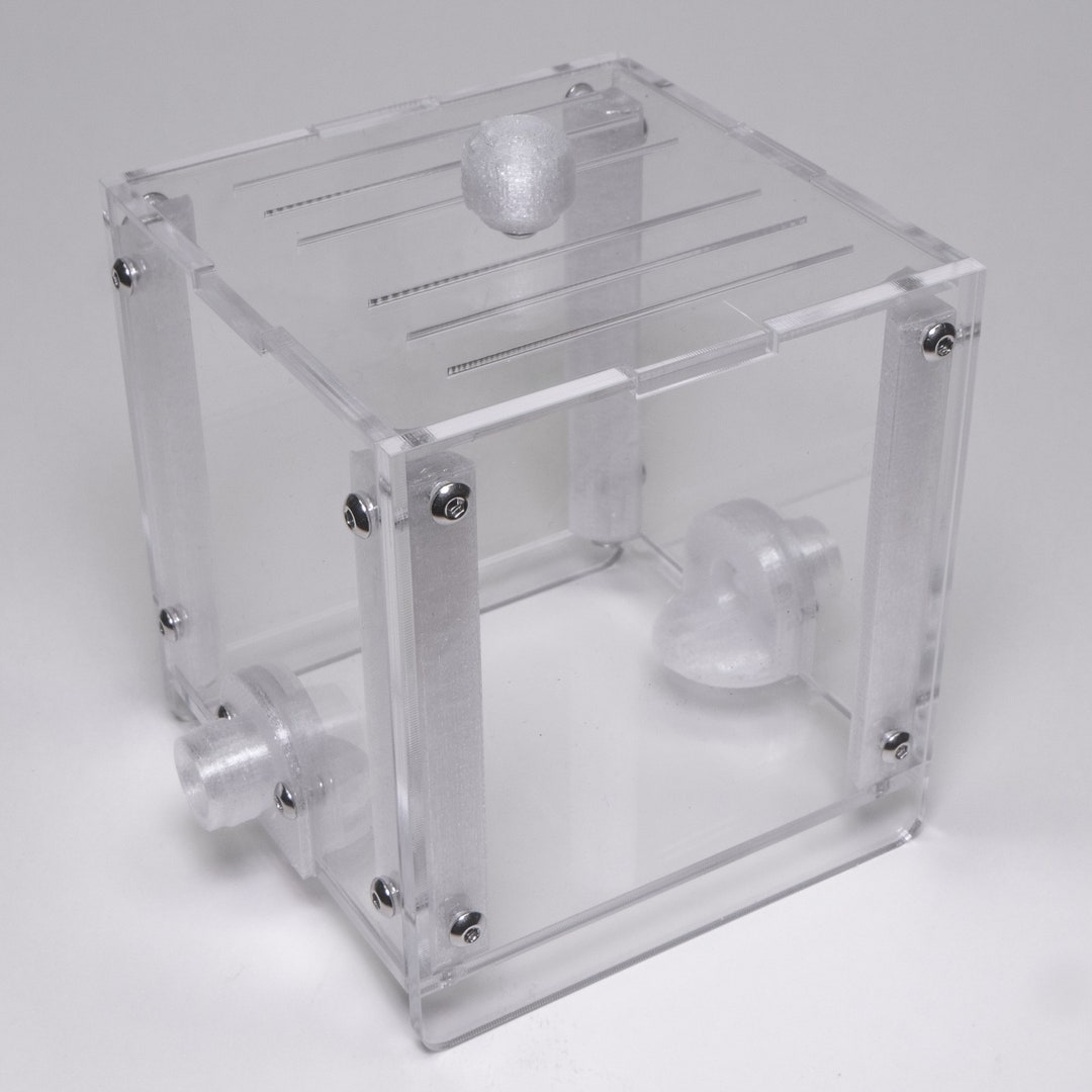 ORIGINAL Small Outworld by Esthetic Ants Small Ant Outworld Ant ...