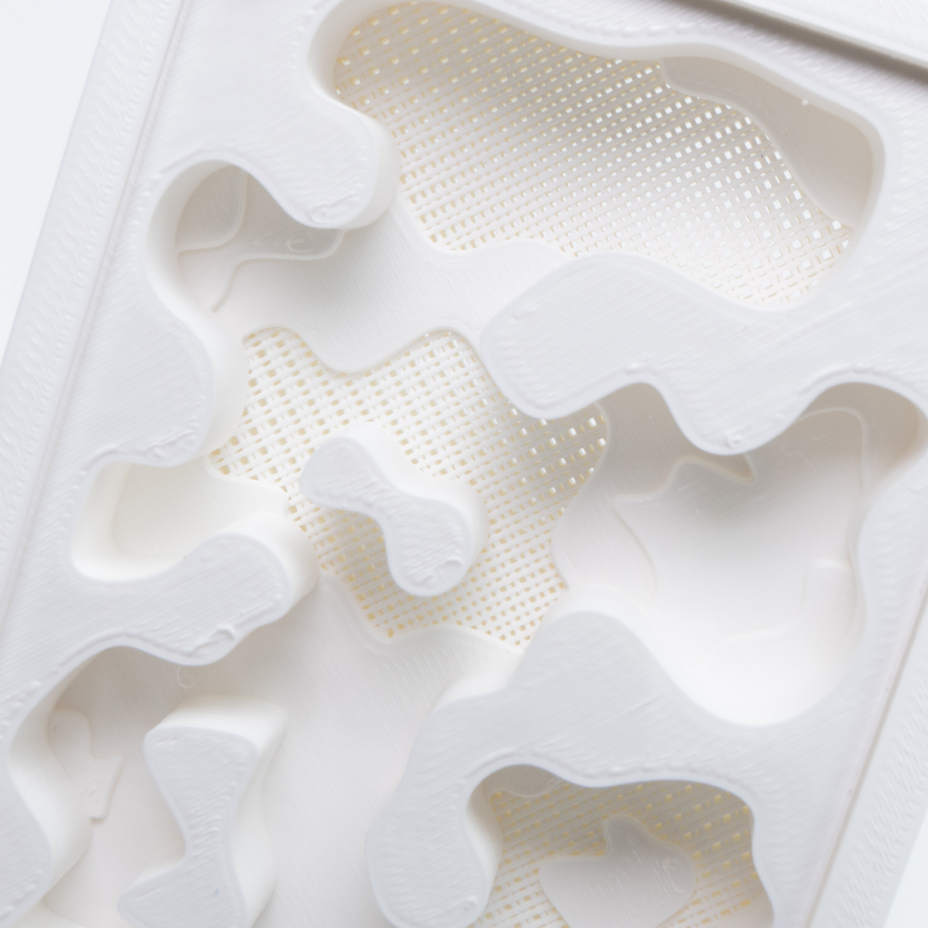 ORIGINAL Medium Mesh Nest by Esthetic Ants Small Ant - Etsy