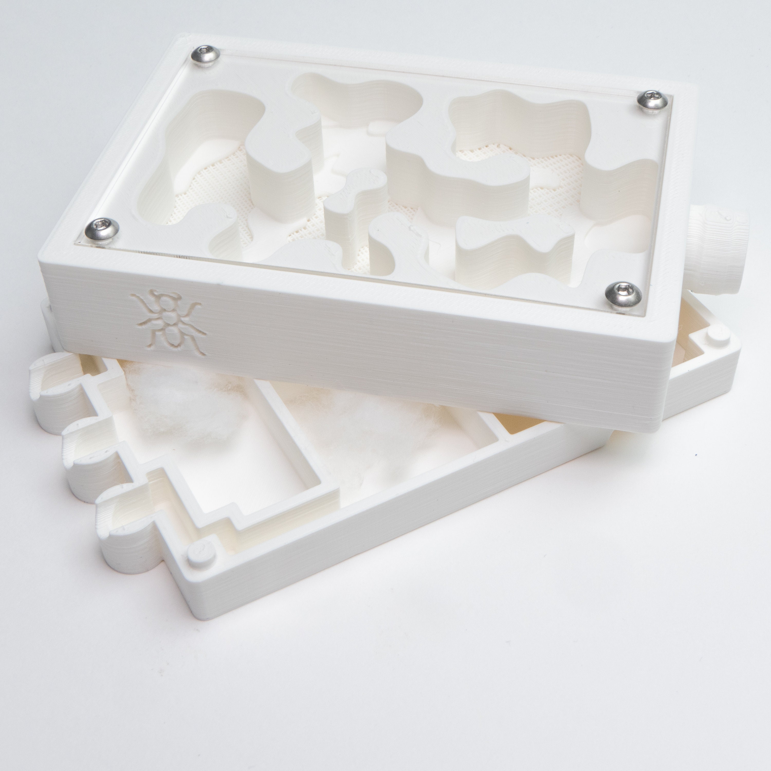 ORIGINAL Medium Mesh Nest by Esthetic Ants Small Ant - Etsy