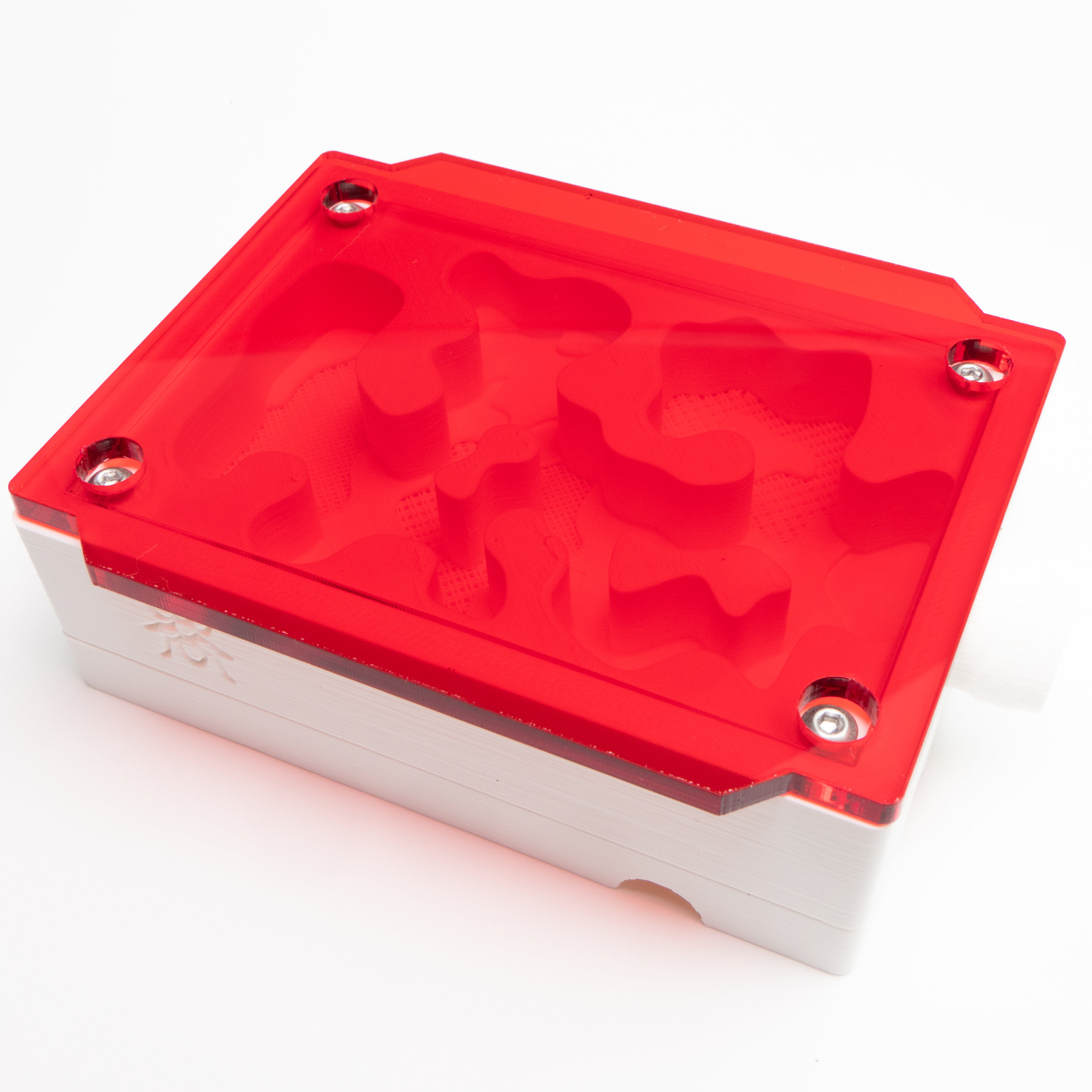 ORIGINAL Medium Mesh Nest by Esthetic Ants Small Ant - Etsy