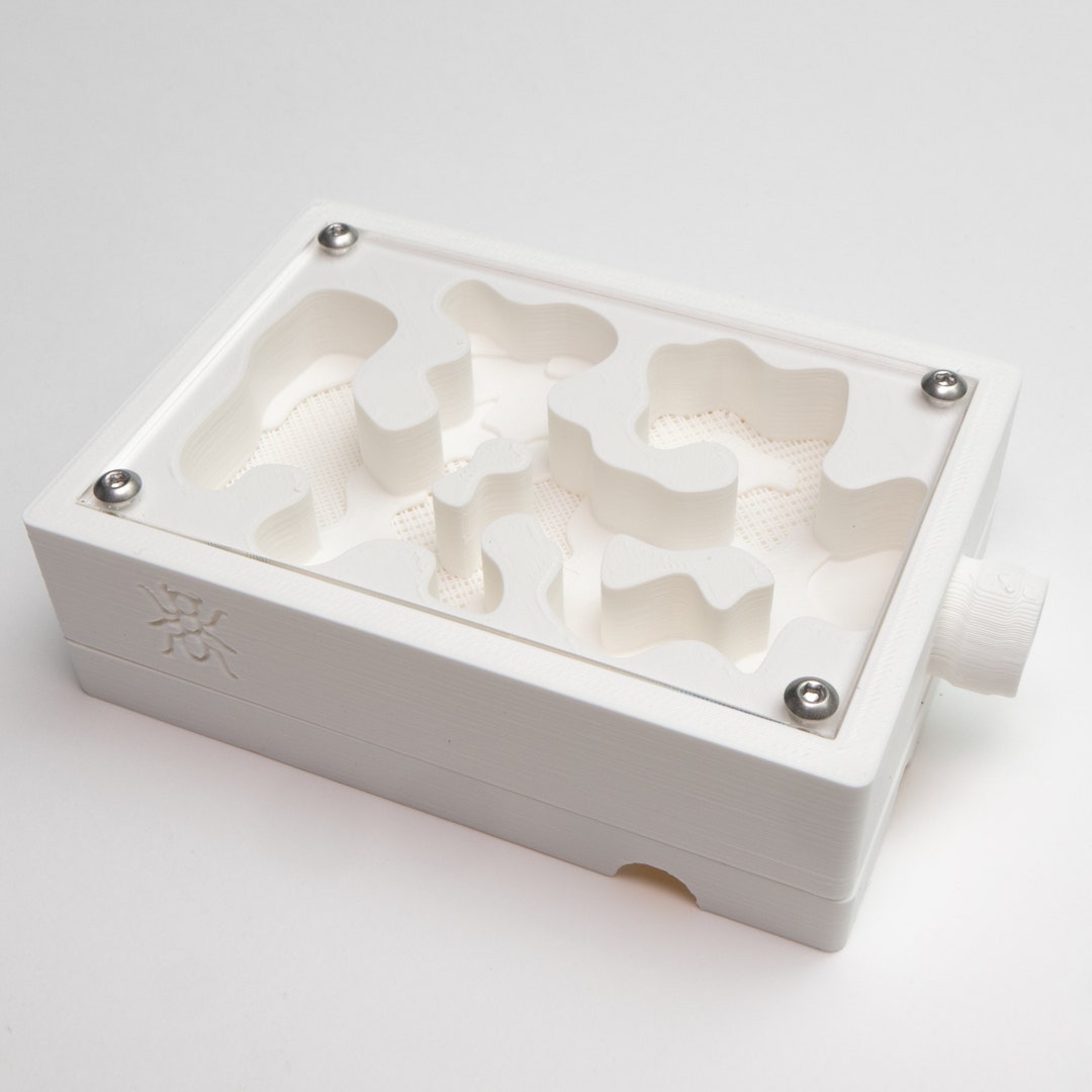 ORIGINAL Medium Mesh Nest by Esthetic Ants | Small Ant Outworld | Ant ...