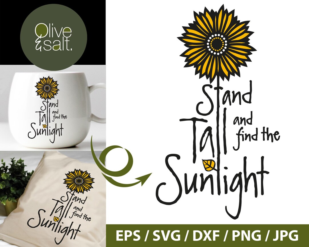 Stand Tall and Find the Sunlight Svg, Sunflower Quote Svg, Stand Tall ...