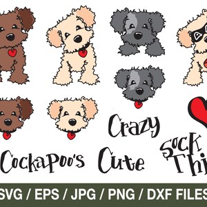 Dog SVG Bundle, Cockapoo Svg, Cockapoo Clipart, Cockapoo Png, Cockapoo ...