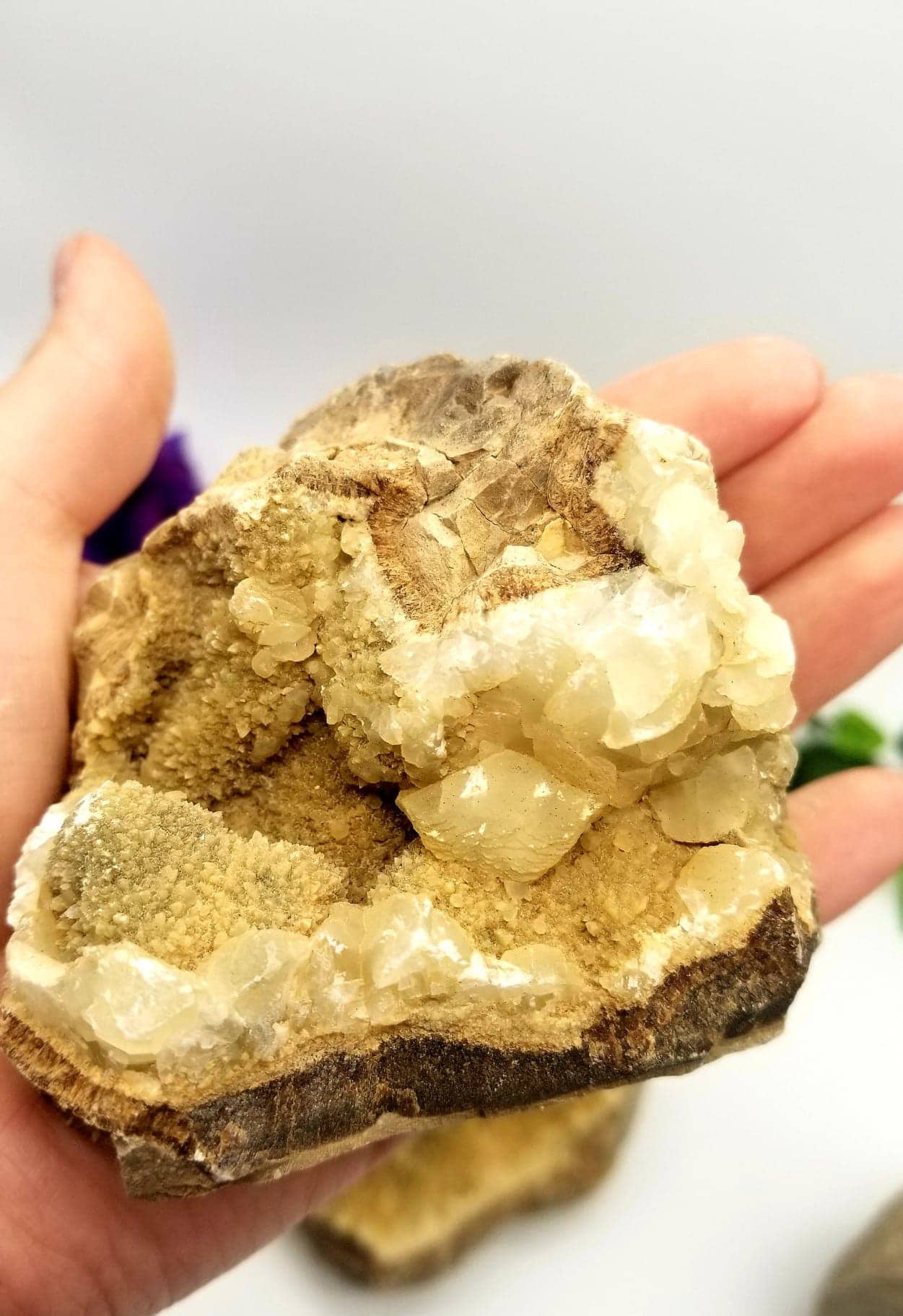 Septarian Nodule Raw - Etsy