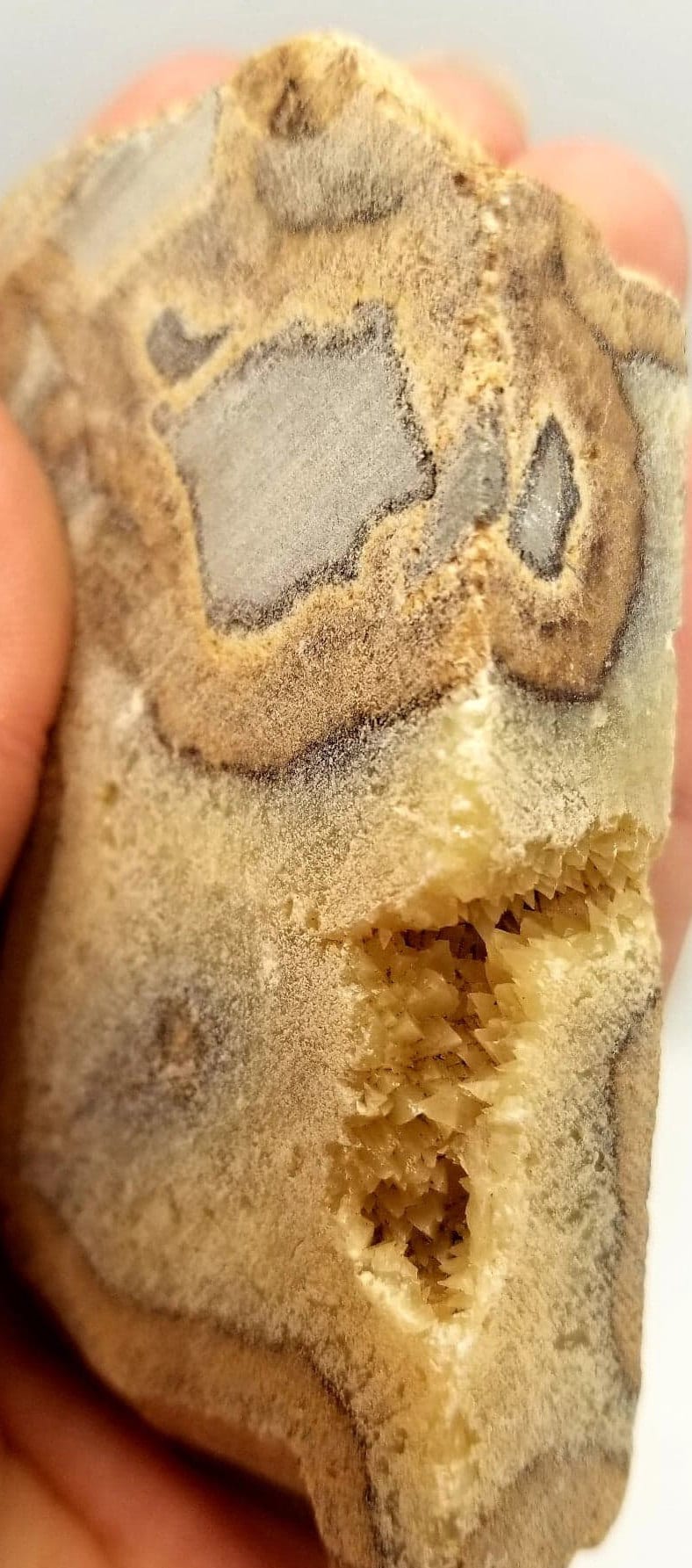 Septarian Nodule (raw) - Etsy