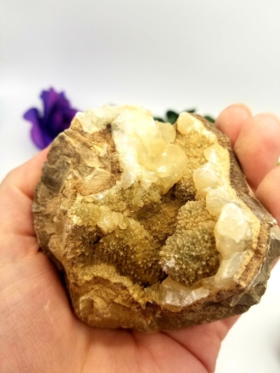 Septarian Nodule Raw - Etsy