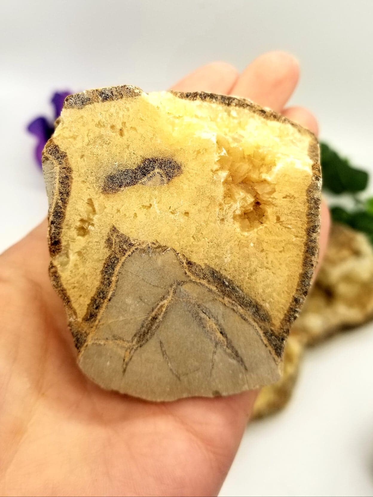 Septarian Nodule Raw - Etsy