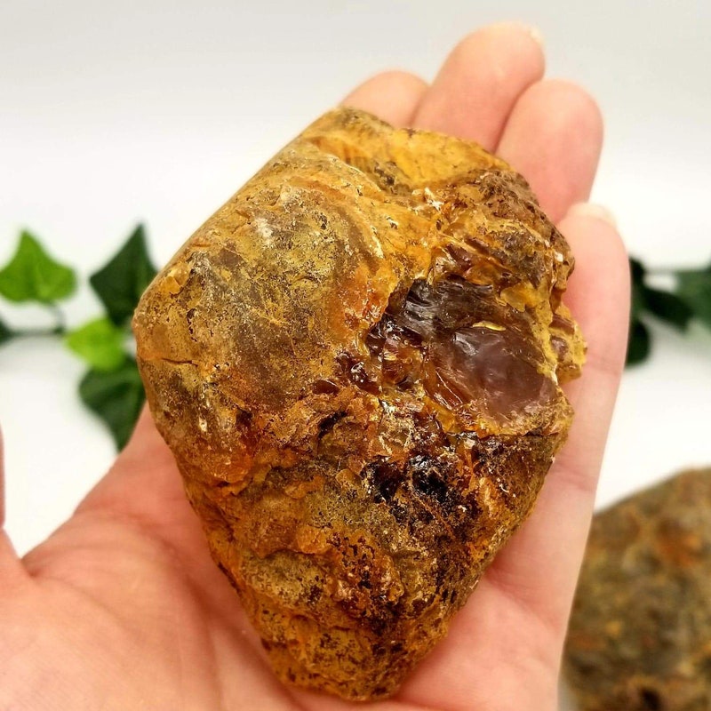 Amber Beads - Etsy