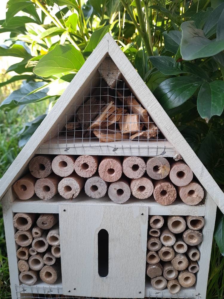 Wooden Insect Hotel Insect Bird Hotel House Shated Creepy - Etsy