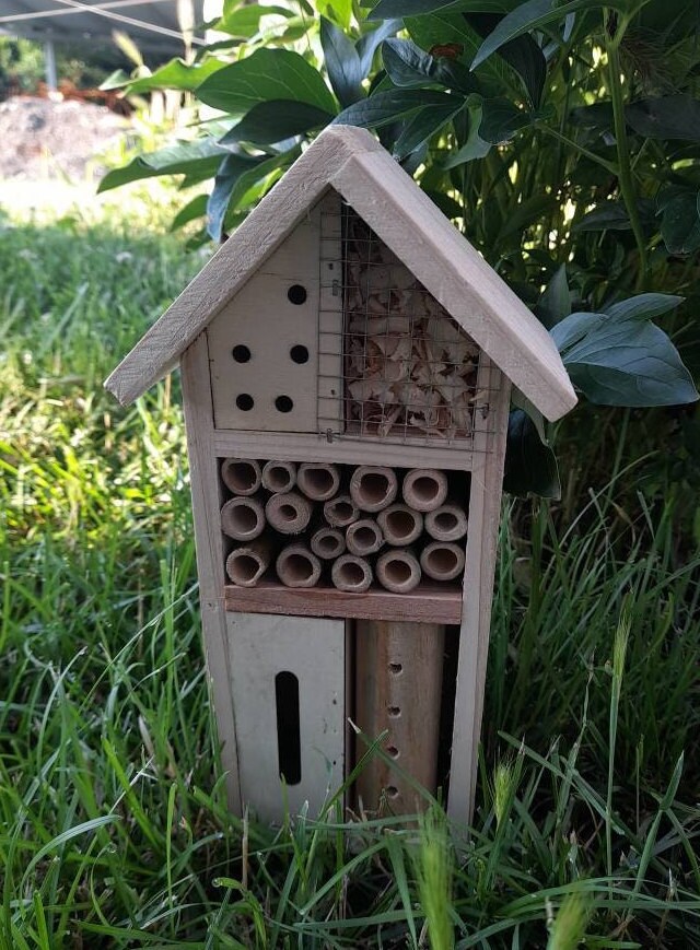 Wooden Insect Hotel Insect Bird Hotel House Shated Creepy - Etsy