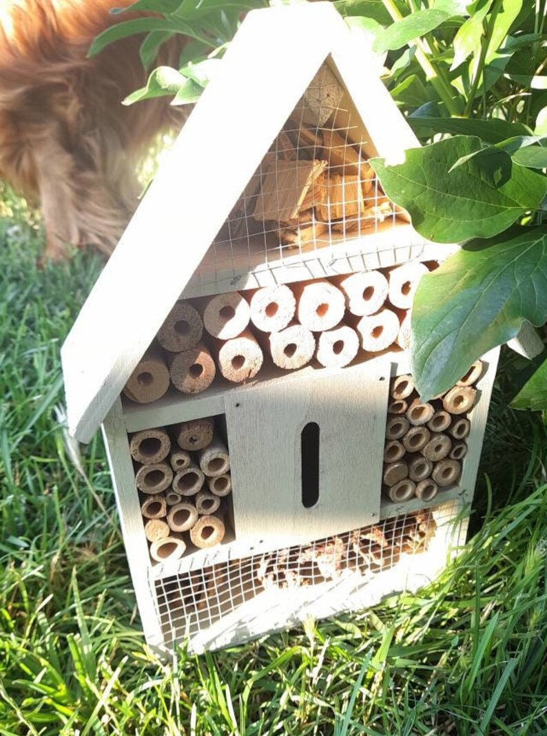 Wooden Insect Hotel Insect Bird Hotel House Shated Creepy - Etsy