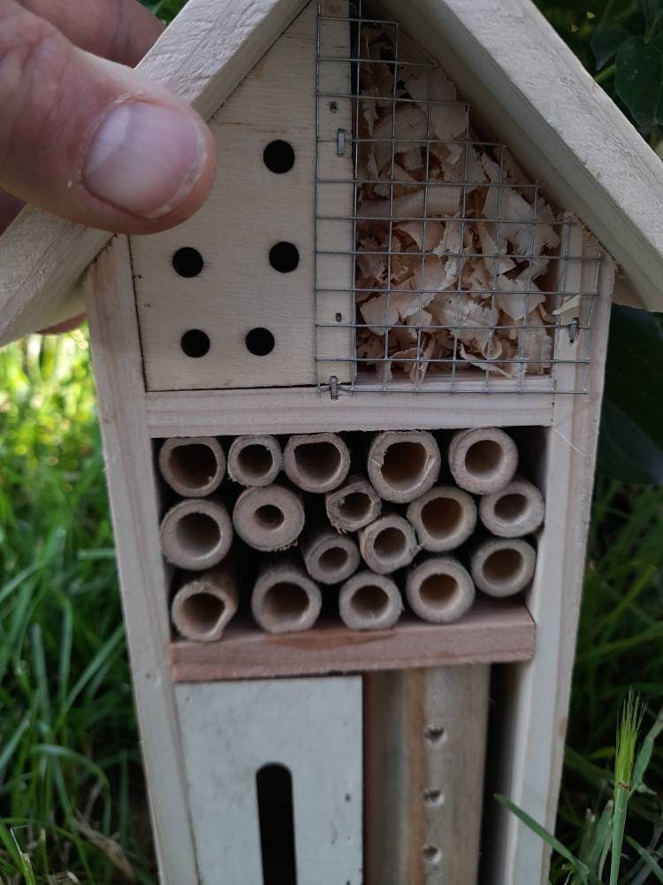 Wooden Insect Hotel Insect Bird Hotel House Shated Creepy - Etsy