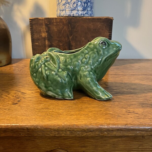 Frog Planter - Etsy