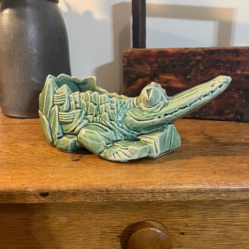 Alligator Planter - Etsy