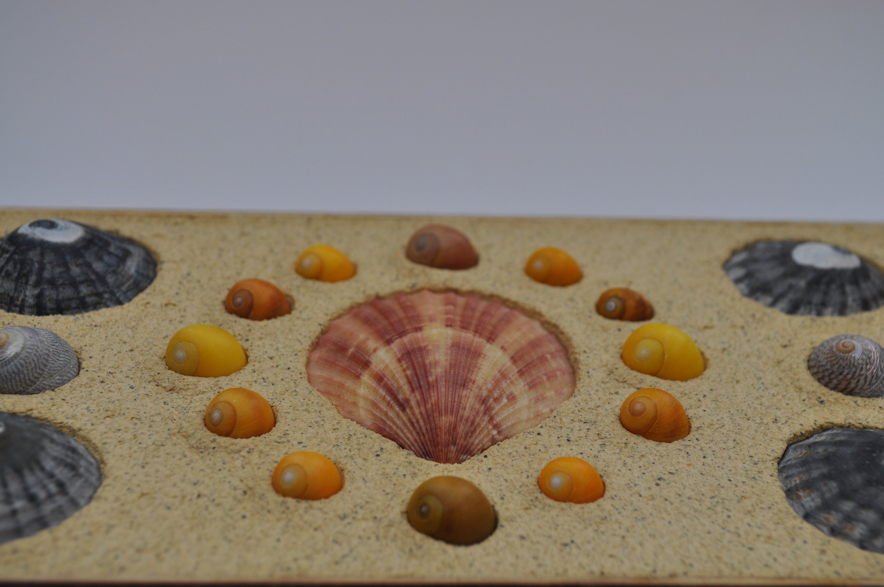 Portavogie Pink Scallop Shell Box - Etsy