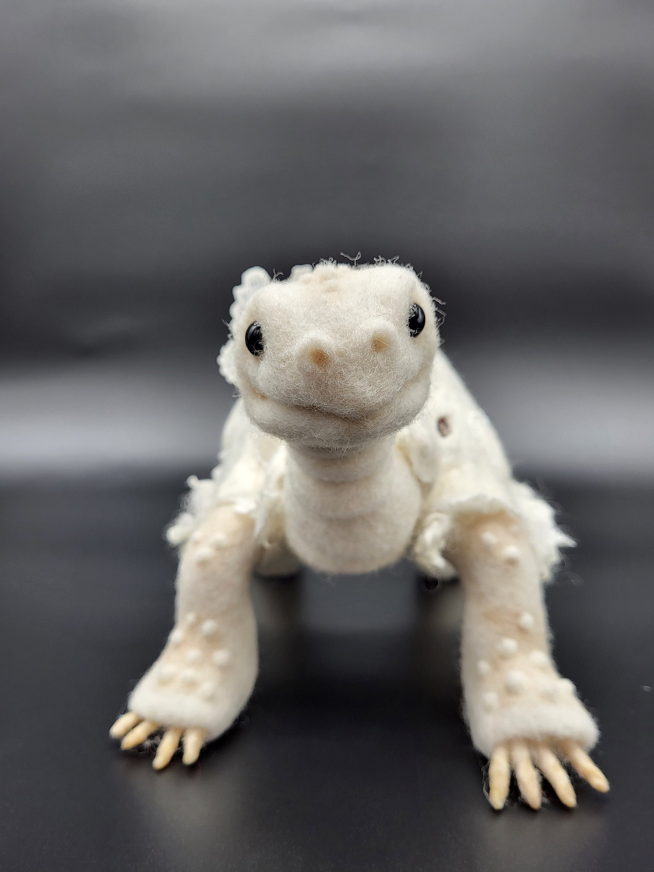 Needle Felt White Tortoise / Turtle - Etsy
