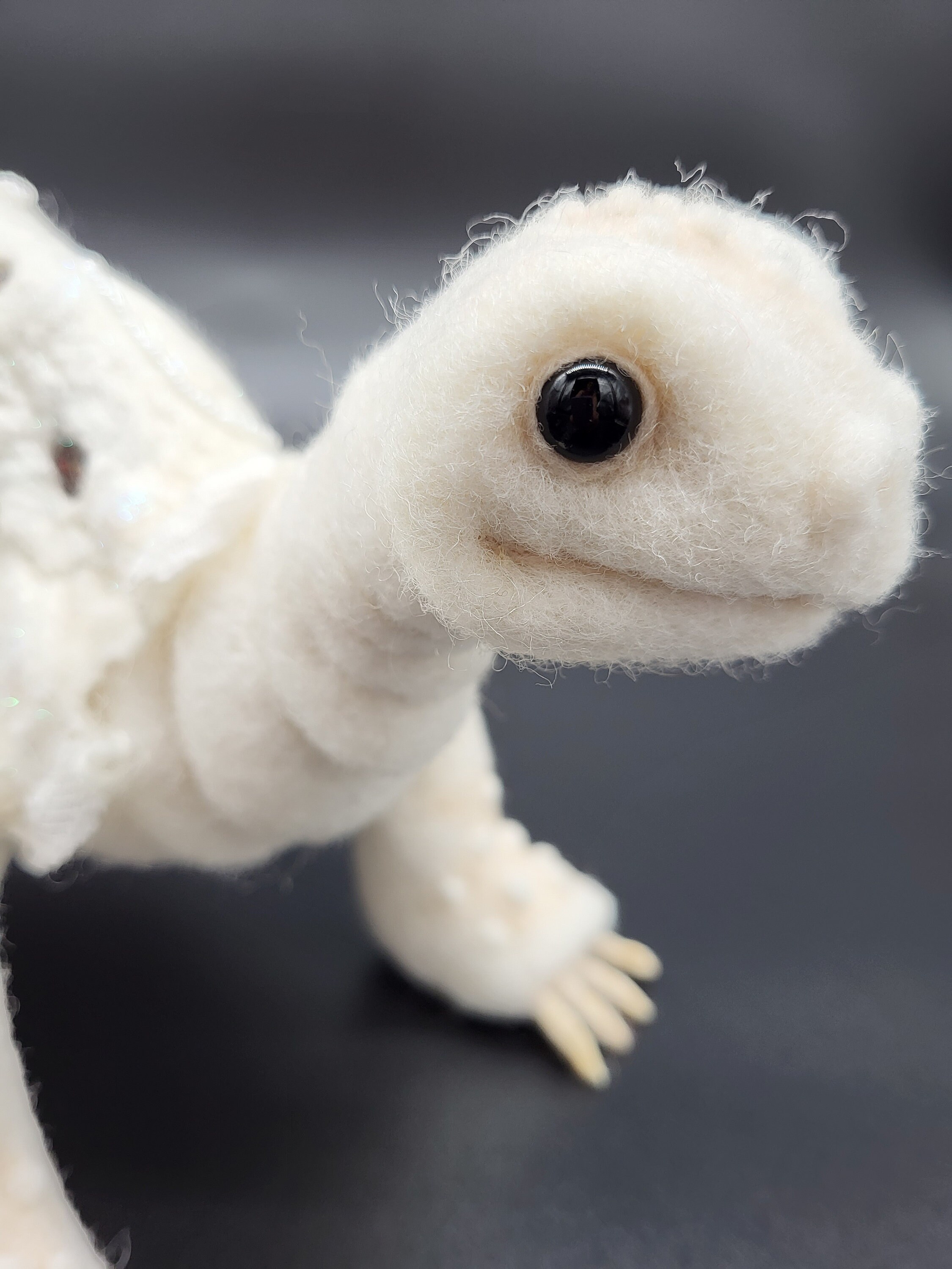 Needle Felt White Tortoise / Turtle - Etsy