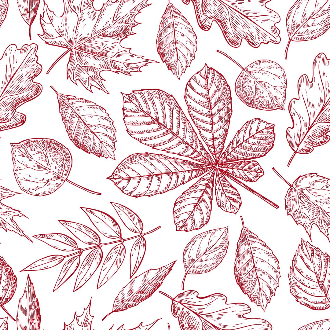 Autumn Leaves Digital Paper Bundle – Botanical Scrapbook Backgrounds ...