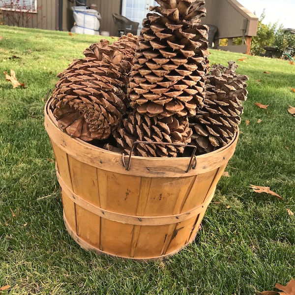 Rustic Pine Cone - Etsy