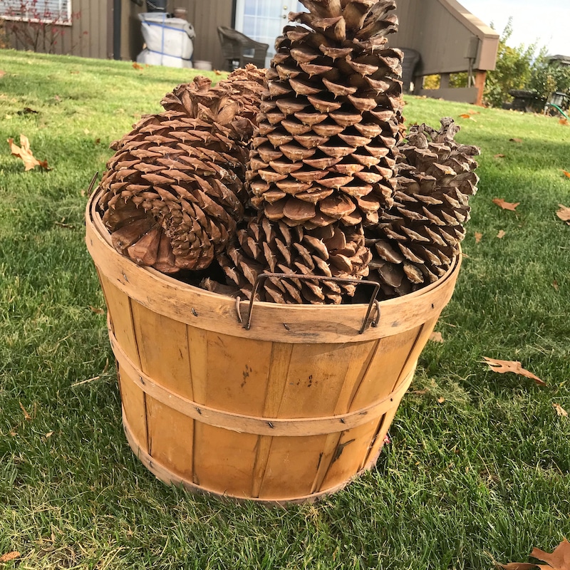 Holiday Pine Cone Wreath - Etsy