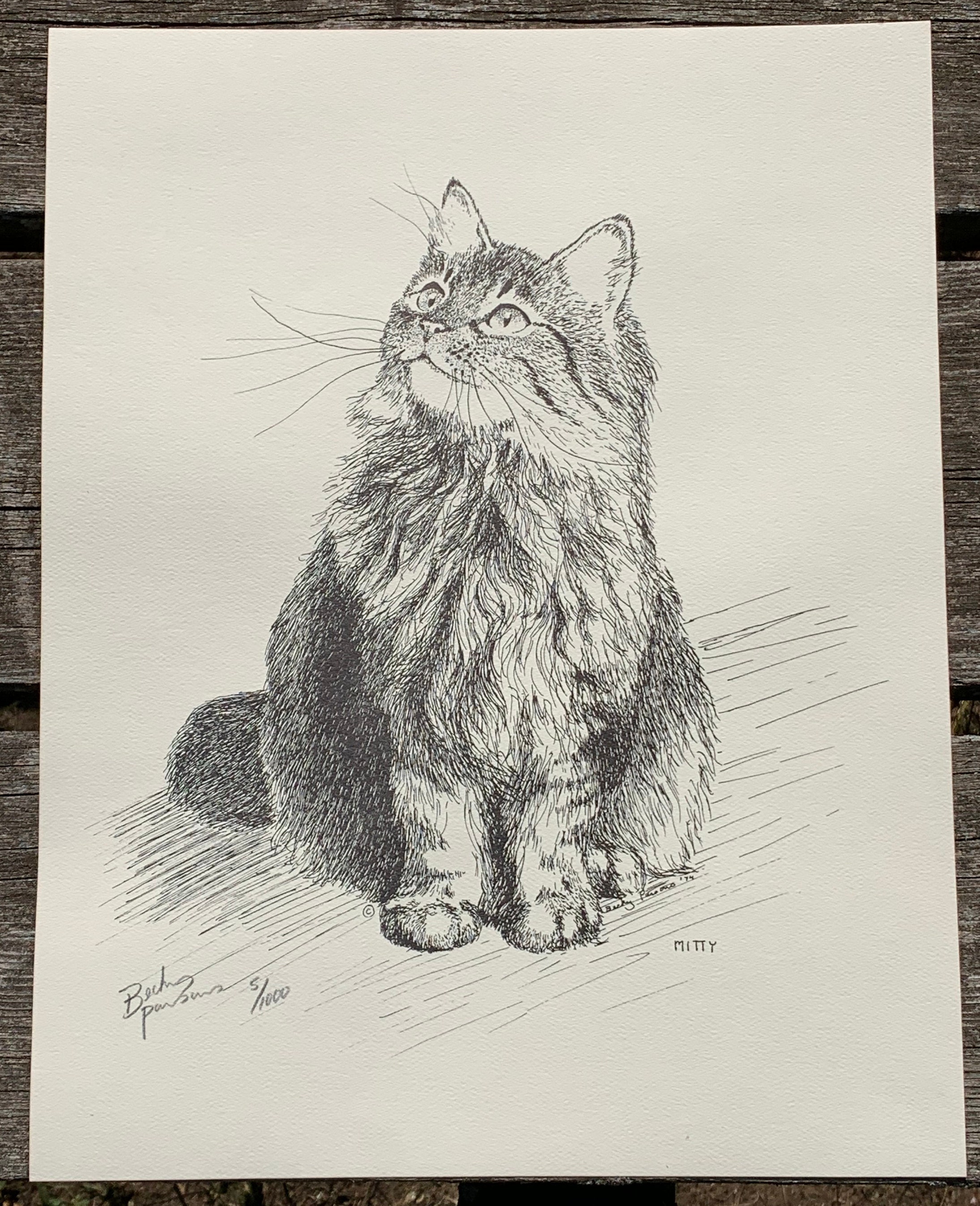 Kitty Print Long Haired Tabby Cat - Etsy