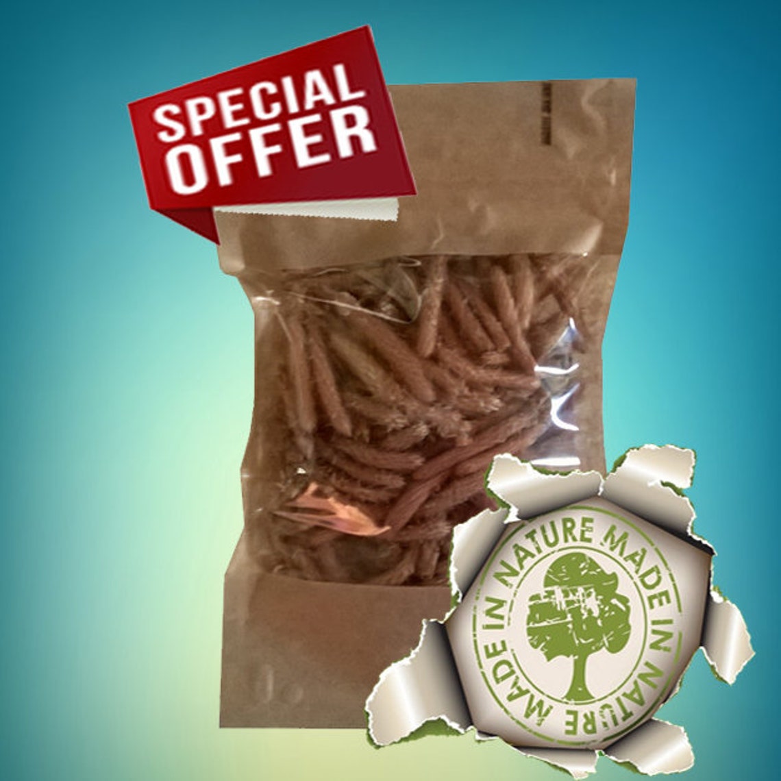 Pine Buds Dried Herbal Tea Premium Quality | Etsy