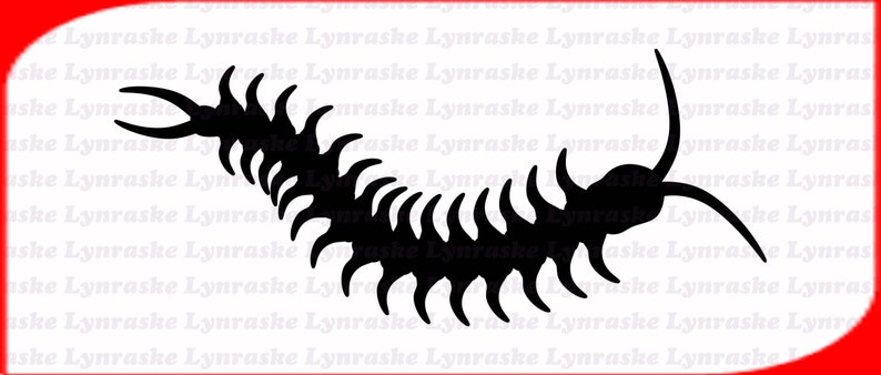 Centipede Silhouette SVG, Svg, Dxf, Cricut, Silhouette Cut File ...