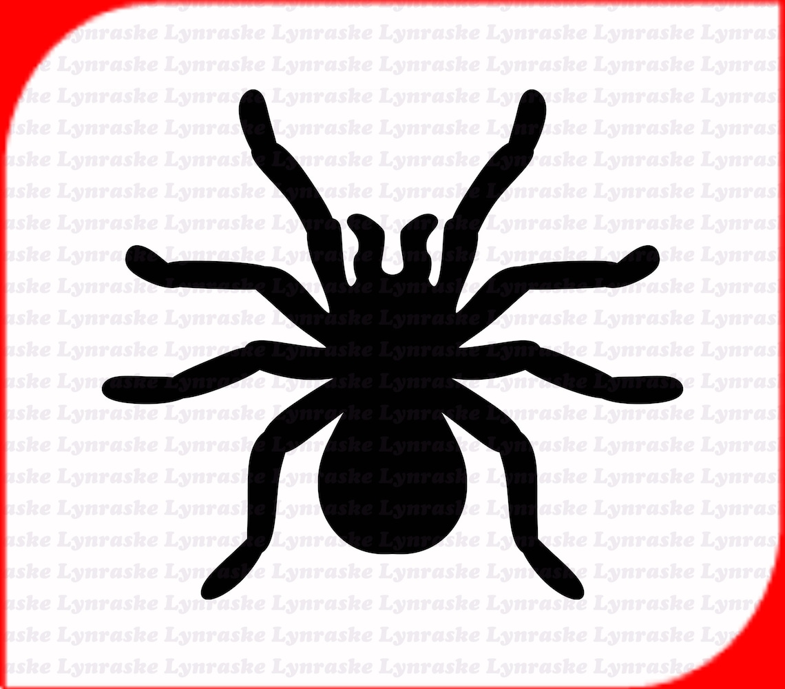 Tarantula Silhouette SVG, Svg, Dxf, Cricut, Silhouette Cut File ...