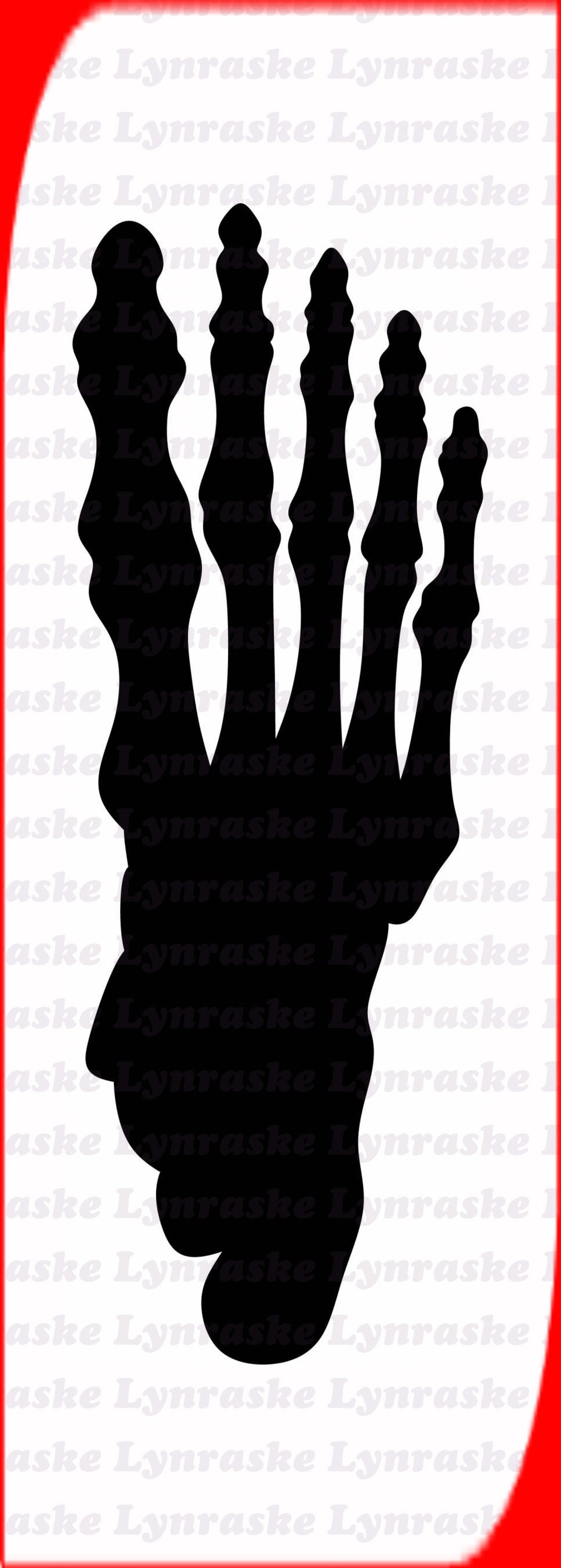 Skeleton Foot Silhouette SVG, Svg, Dxf, Cricut, Silhouette Cut File ...