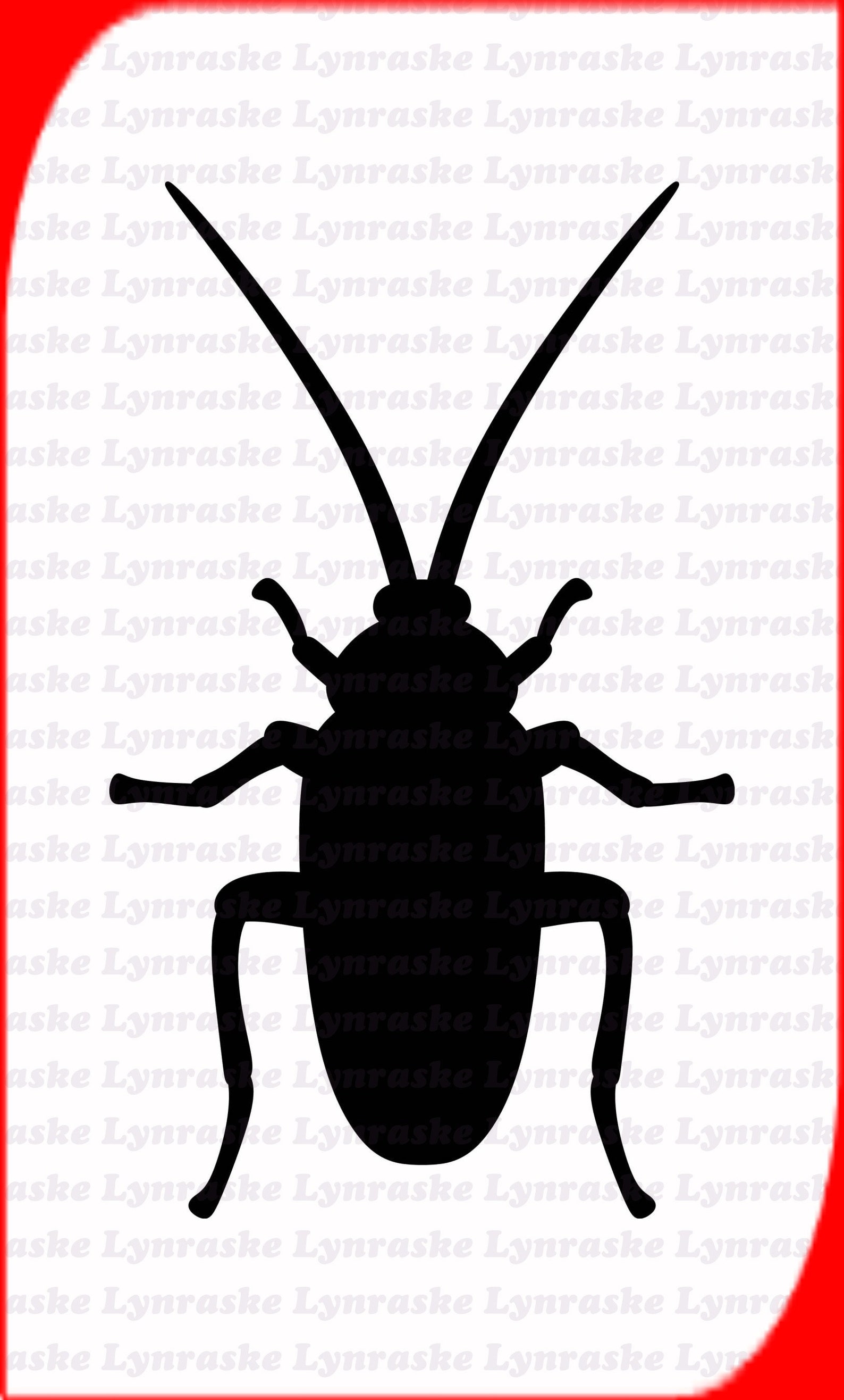 Cockroach Silhouette SVG Svg Dxf Cricut Silhouette Cut - Etsy UK