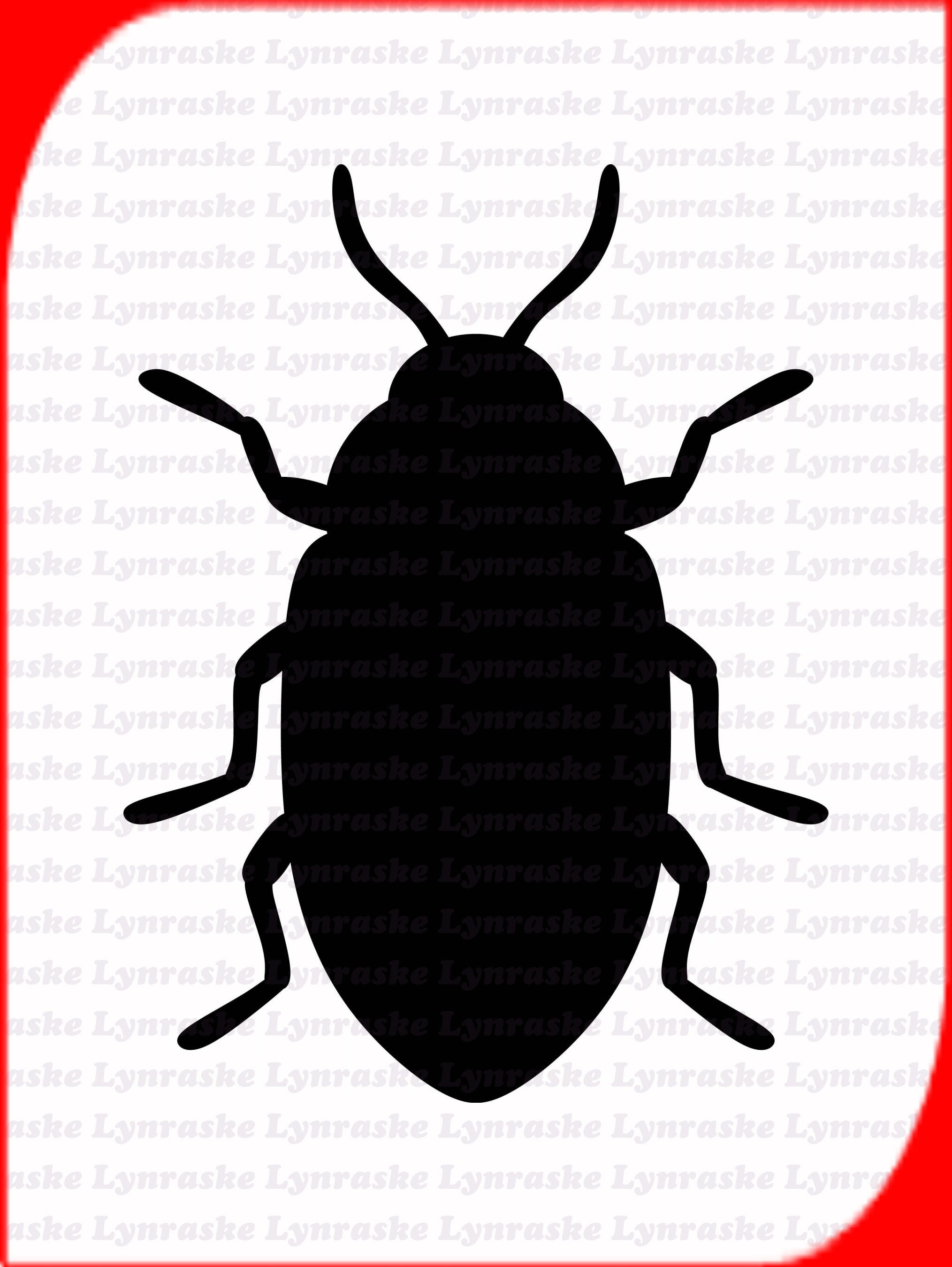 Beetle Bug Svg Insect Svg Stag Beetle Svg Bug Svg Ets - vrogue.co