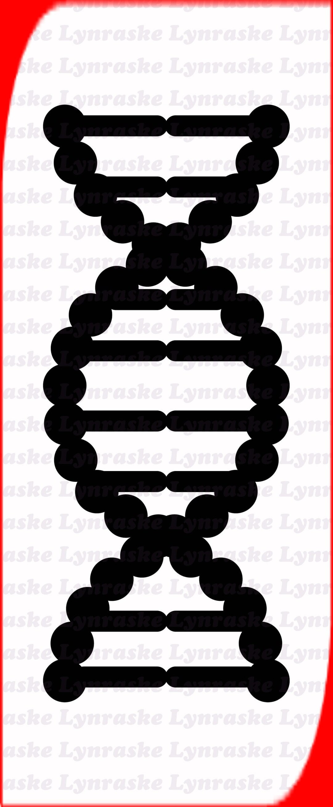 Dna Silhouette SVG, Svg, Dxf, Cricut, Silhouette Cut File, Instant ...