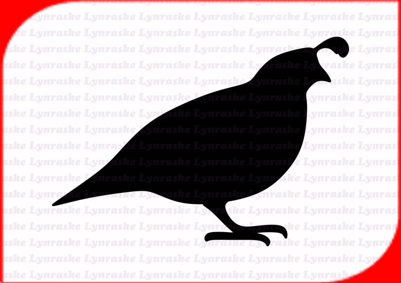 Quail Silhouette SVG, Svg, Dxf, Cricut, Silhouette Cut File, Instant ...