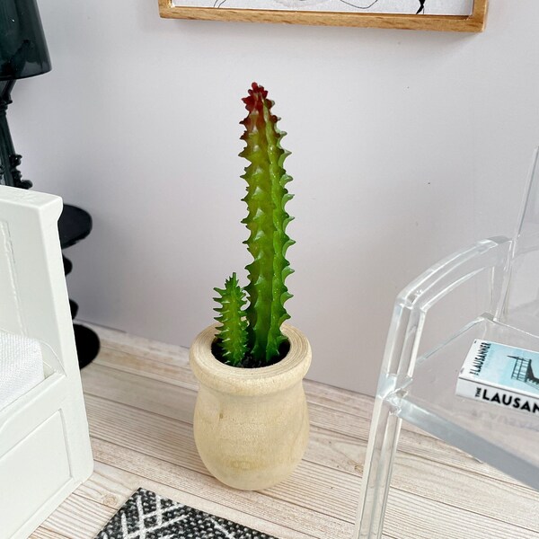 Miniature Cactus - Etsy