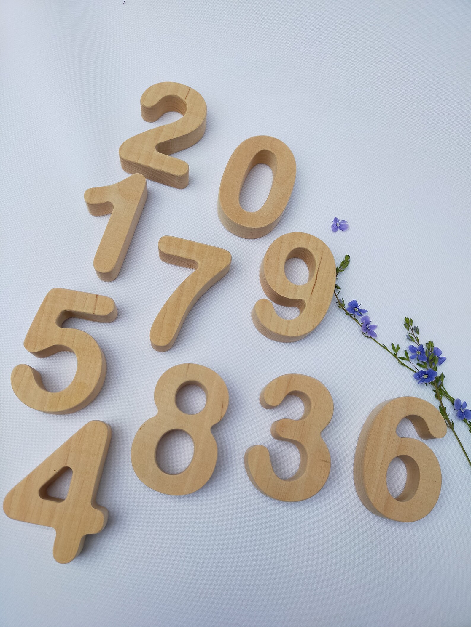 Ten Frame WITH NUMBERS Set/montessori Math Counting Tray | Etsy
