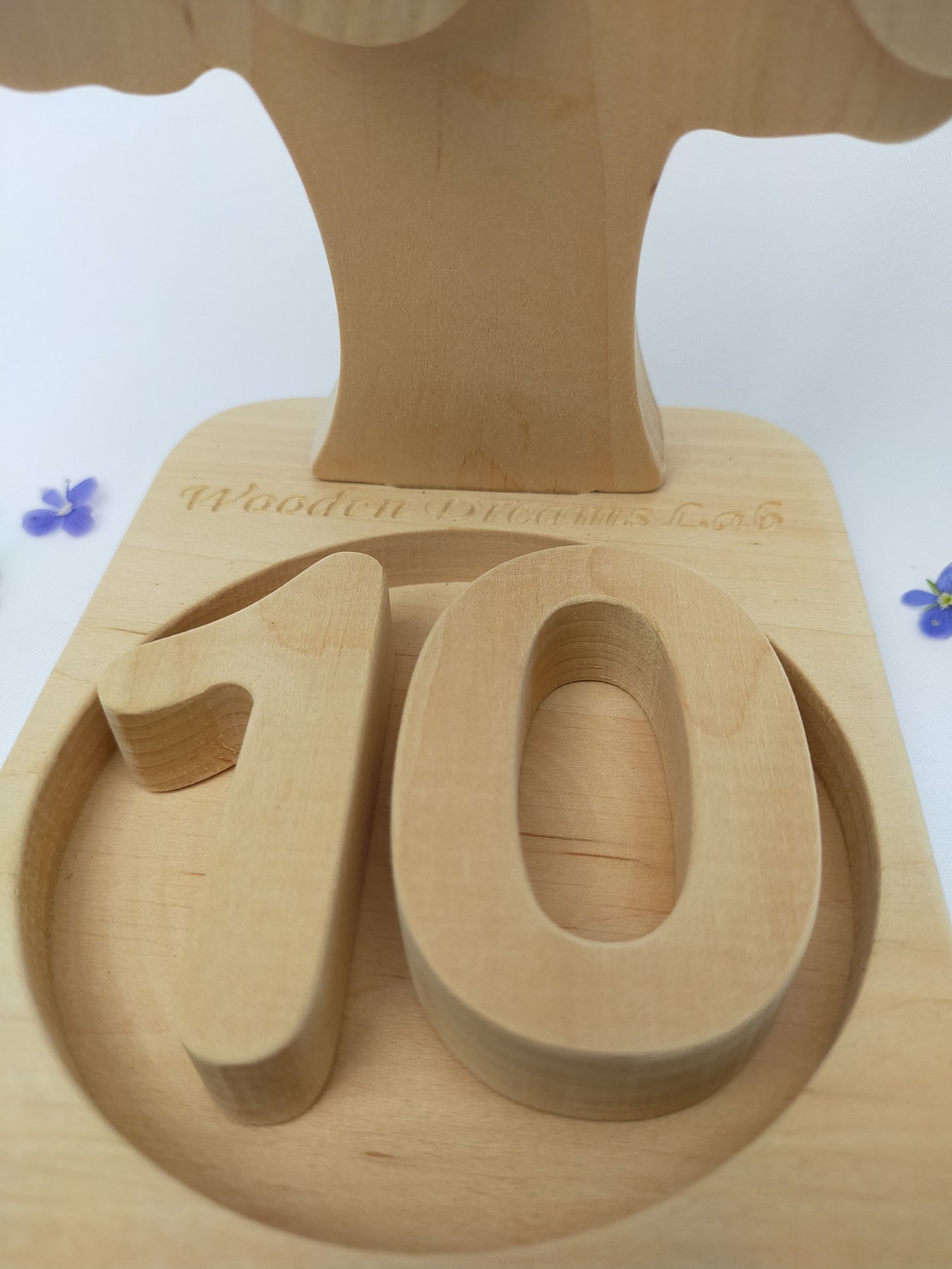 Ten Frame WITH NUMBERS Set/montessori Math Counting Tray | Etsy