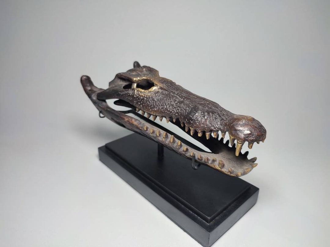 Small Bronze Crocodile Head for Decor - Etsy