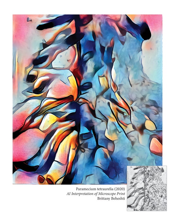 | Microscope Art Prints Art Made from Microscope Imaging 3 Pk Medical ...