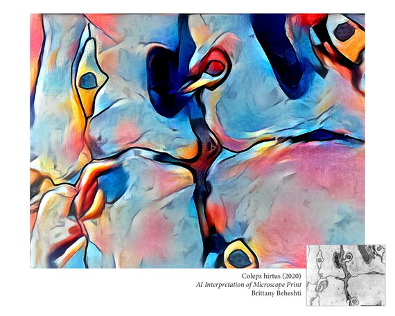 | Microscope Art Prints Art Made from Microscope Imaging 3 Pk Medical ...